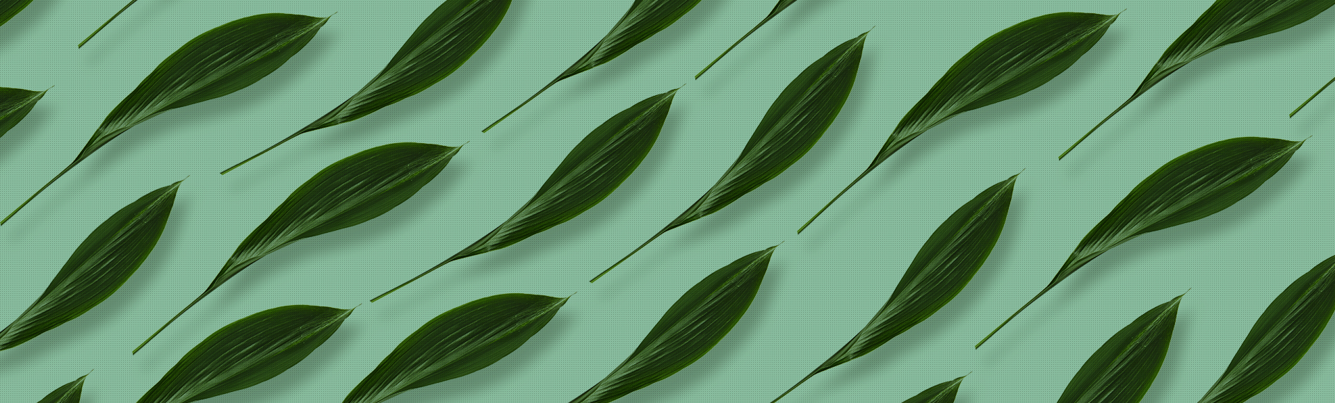 audreyflowers | 오드리플라워즈