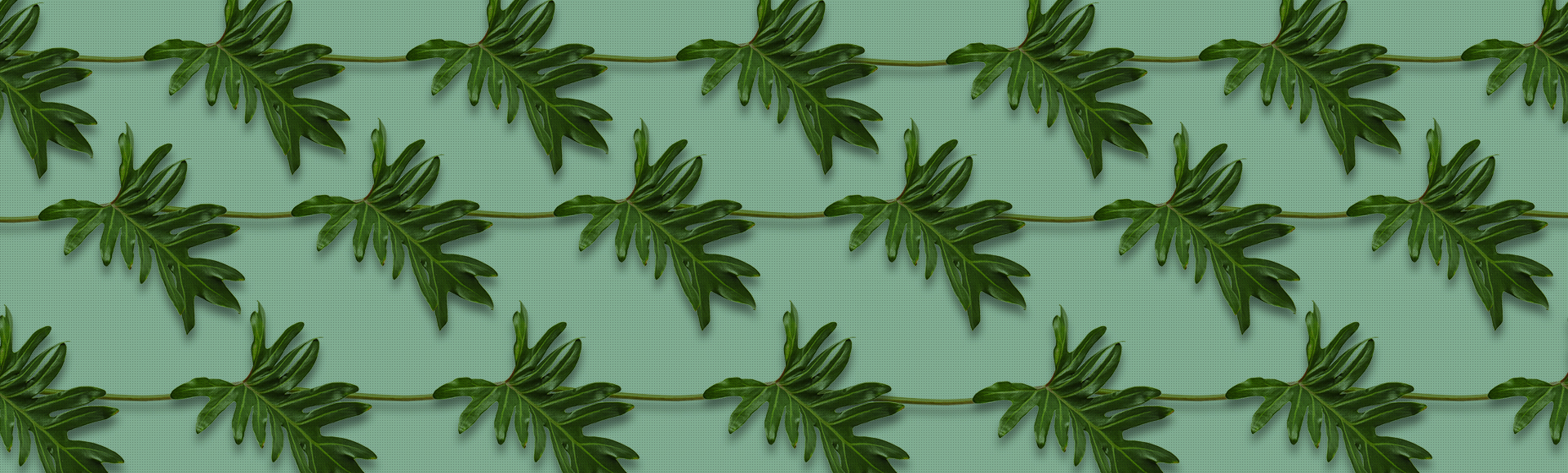 audreyflowers | 오드리플라워즈